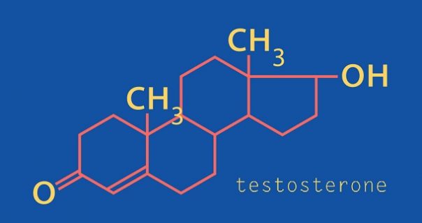 What is Testosterone Hormone?
