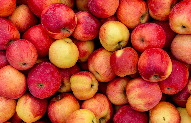 Various technical Articles to learn AngularJS with easy Examples