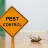 Effective Strategies for Pest Control in Urban Environments